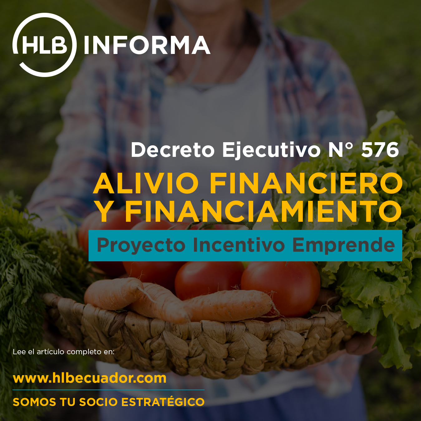 Decreto Ejecutivo N° 576: Proyecto Incentivo Emprende | HLB Ecuador